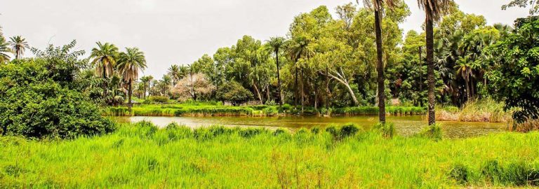 Climate and geography of the Ivory Coast | Discover Ivorycoast