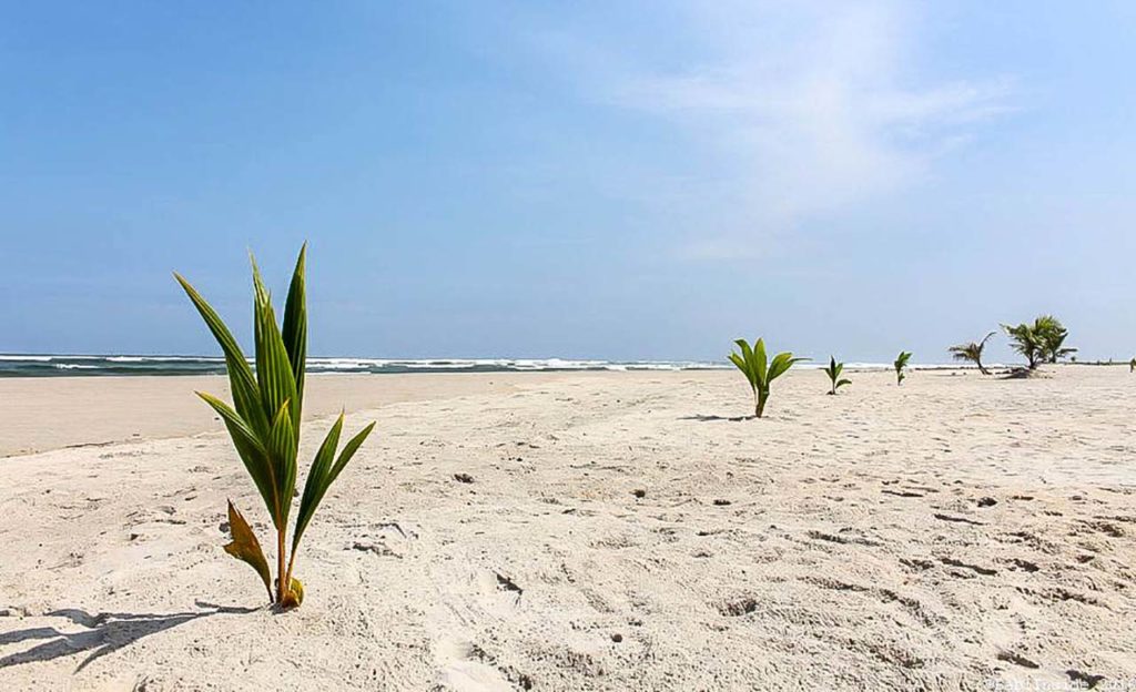 Belle plage d'Assinie | Discover Ivorycoast